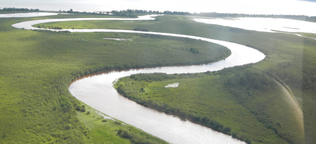 Wetland Resources – Bad River Tribe